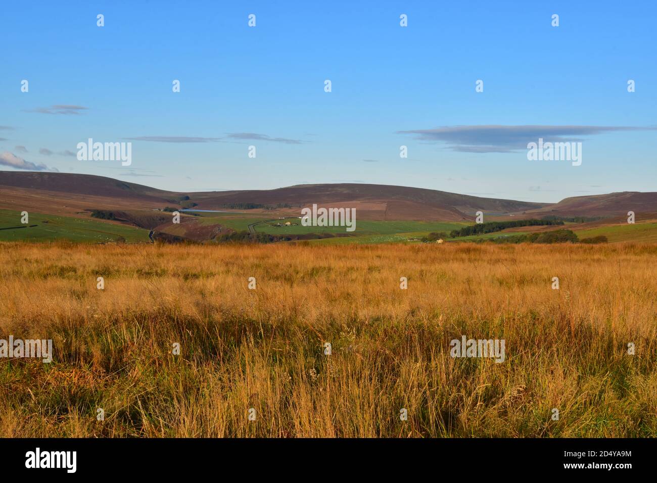 Widdop hi-res stock photography and images - Alamy