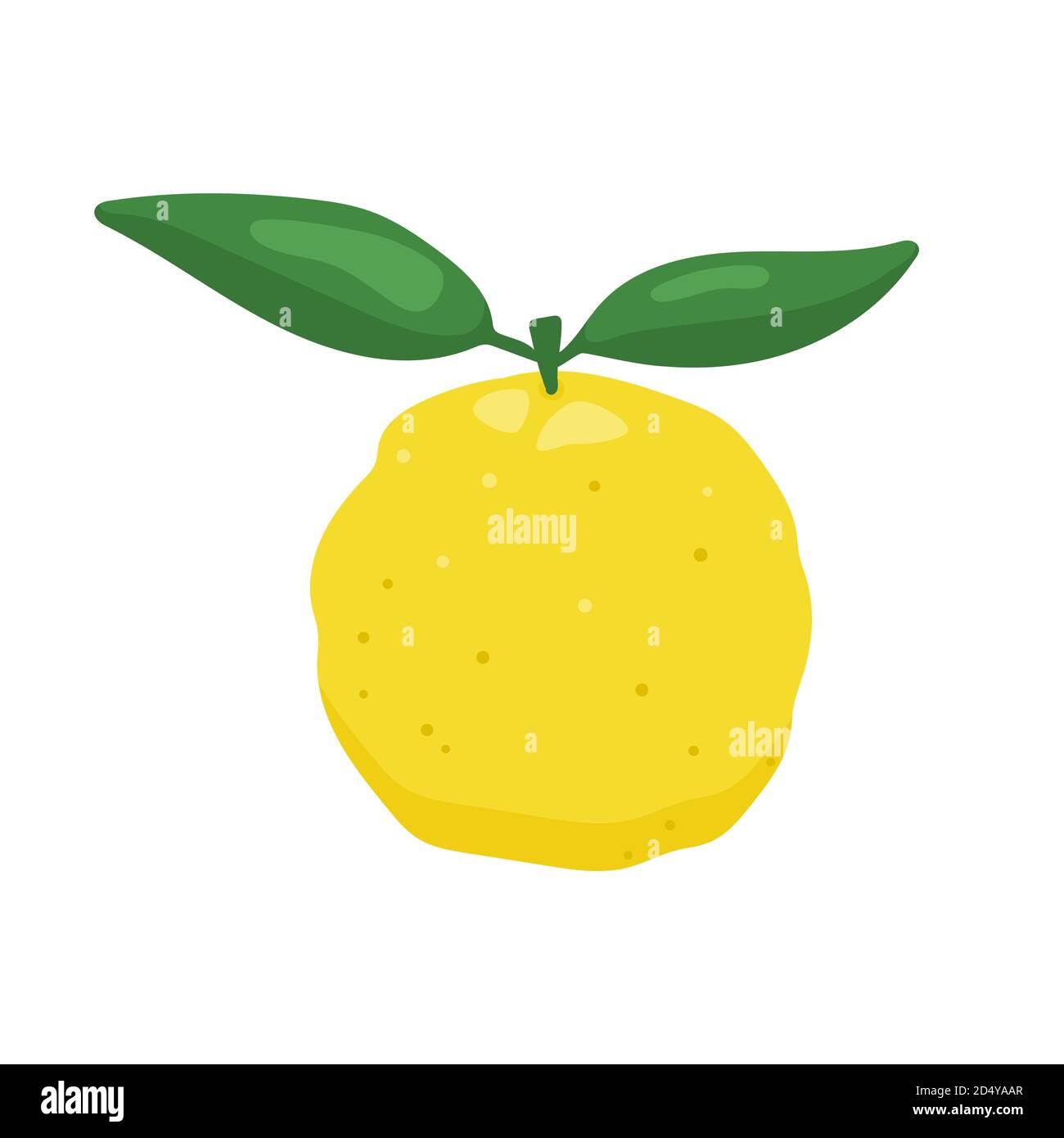 Yuzu japaness citron fruit vector illustration Stock Vector Image & Art ...