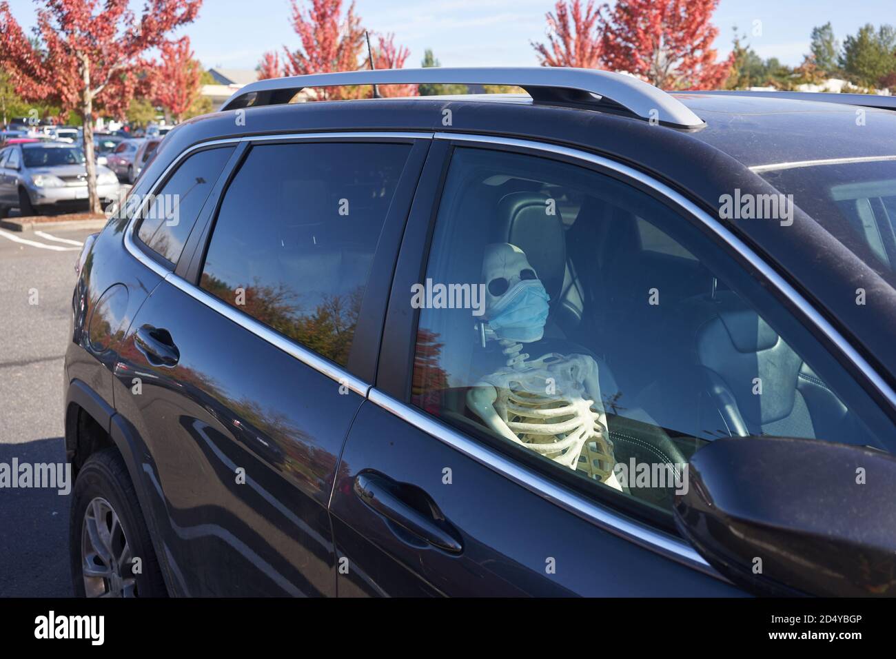 Skeleton in car hi-res stock photography and images - Alamy