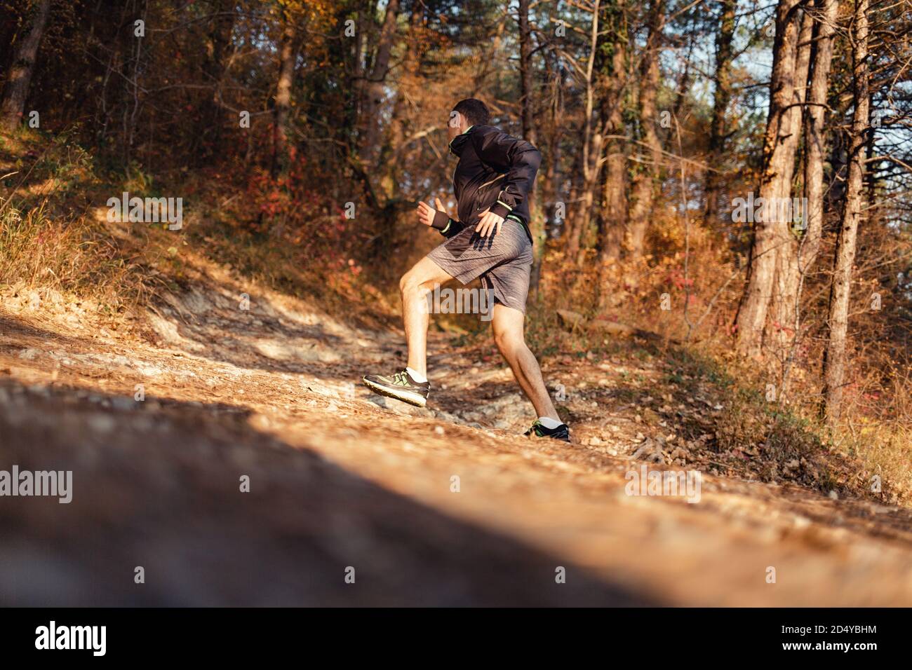 Slender man hi-res stock photography and images - Alamy