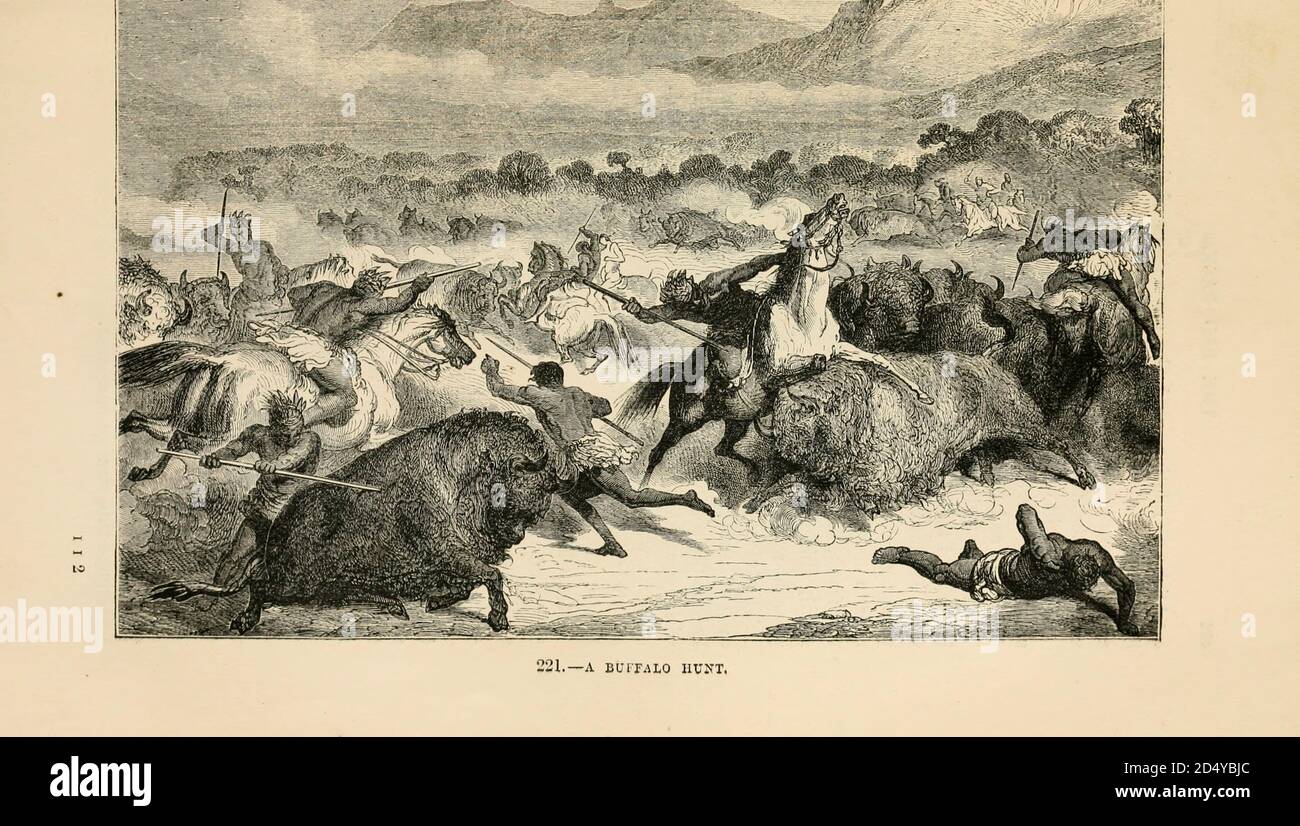 Native american indian hunting buffalo hi-res stock photography and ...
