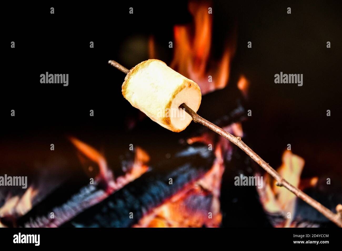Campfire Roast Marshmallows