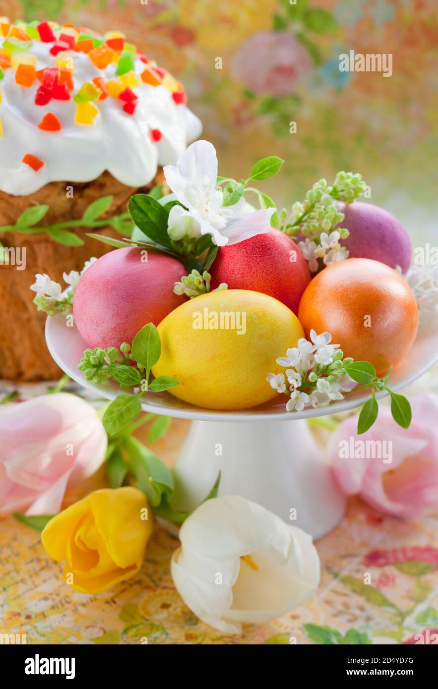 Cobra kai hi-res stock photography and images - Alamy