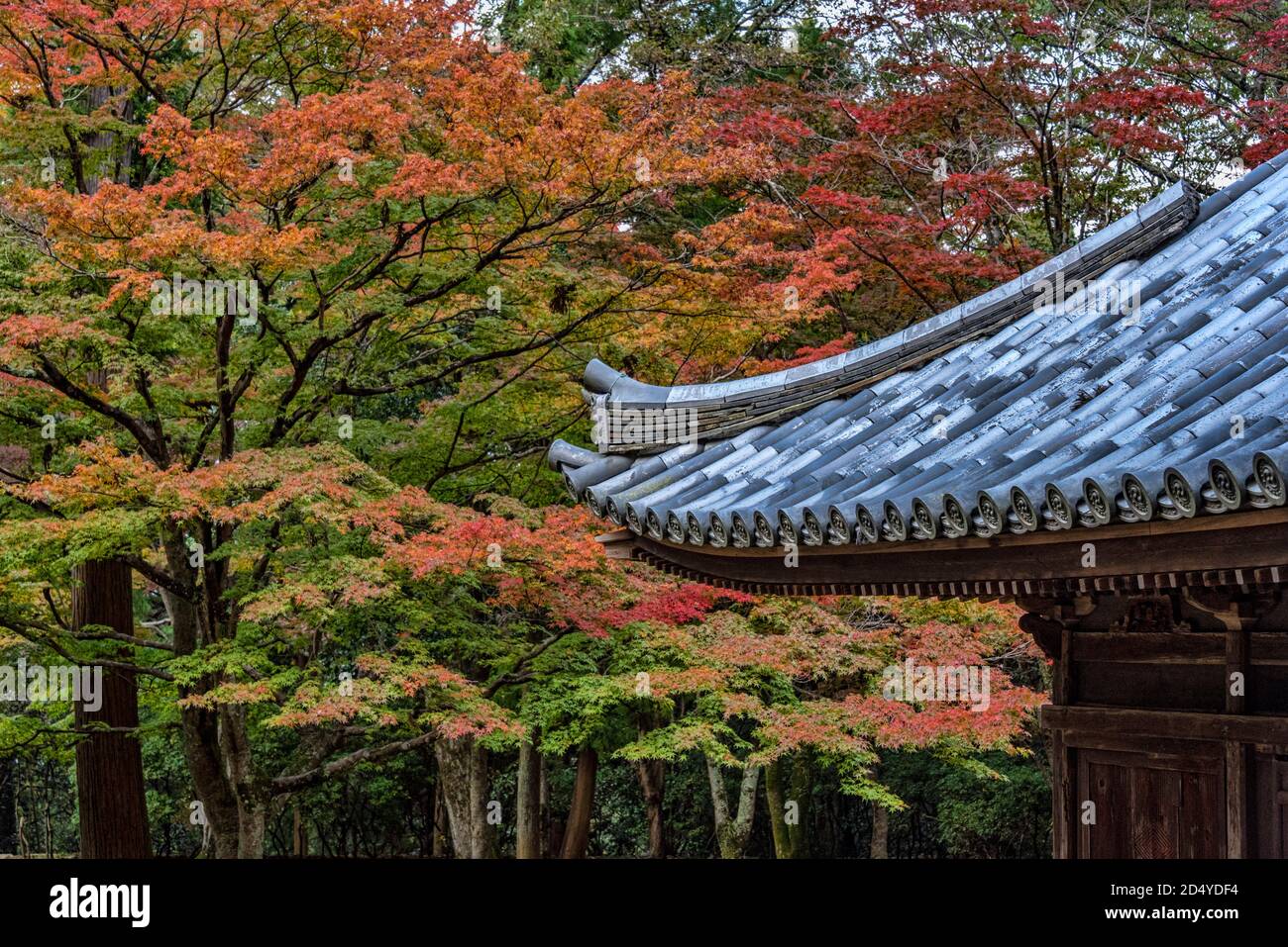 Gargoyle architecture monastery hi-res stock photography and images - Alamy