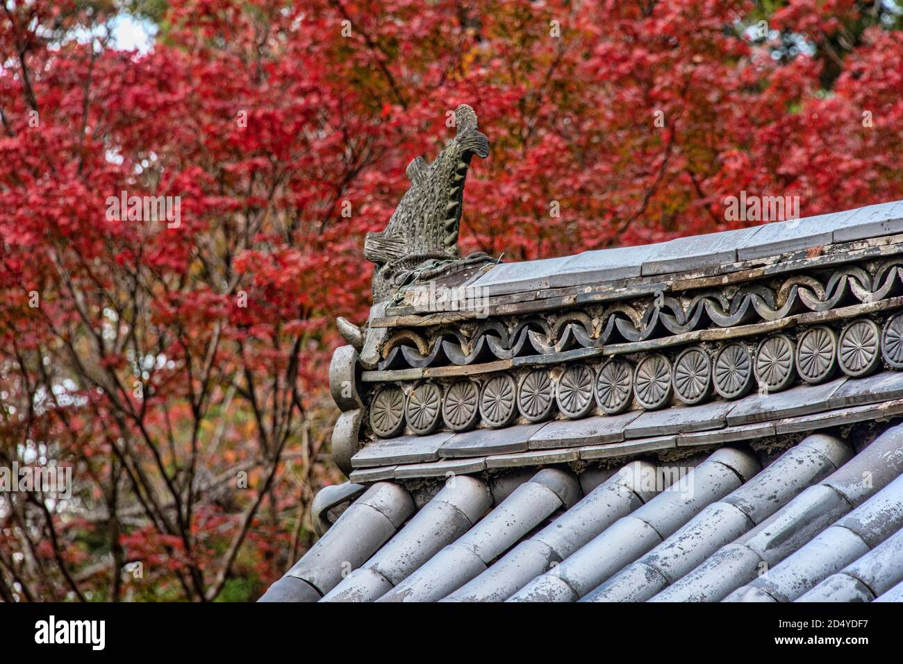 Detail of shrine roof and gargoyle, Shoshazan Engyoji temple of the ...
