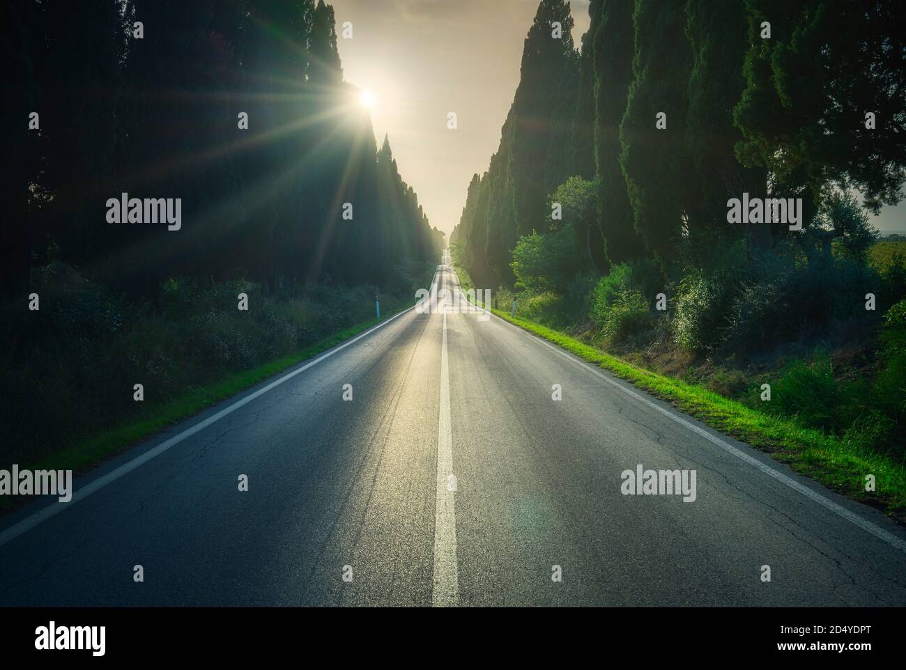 Italian Boulevard High Resolution Stock Photography and Images - Alamy