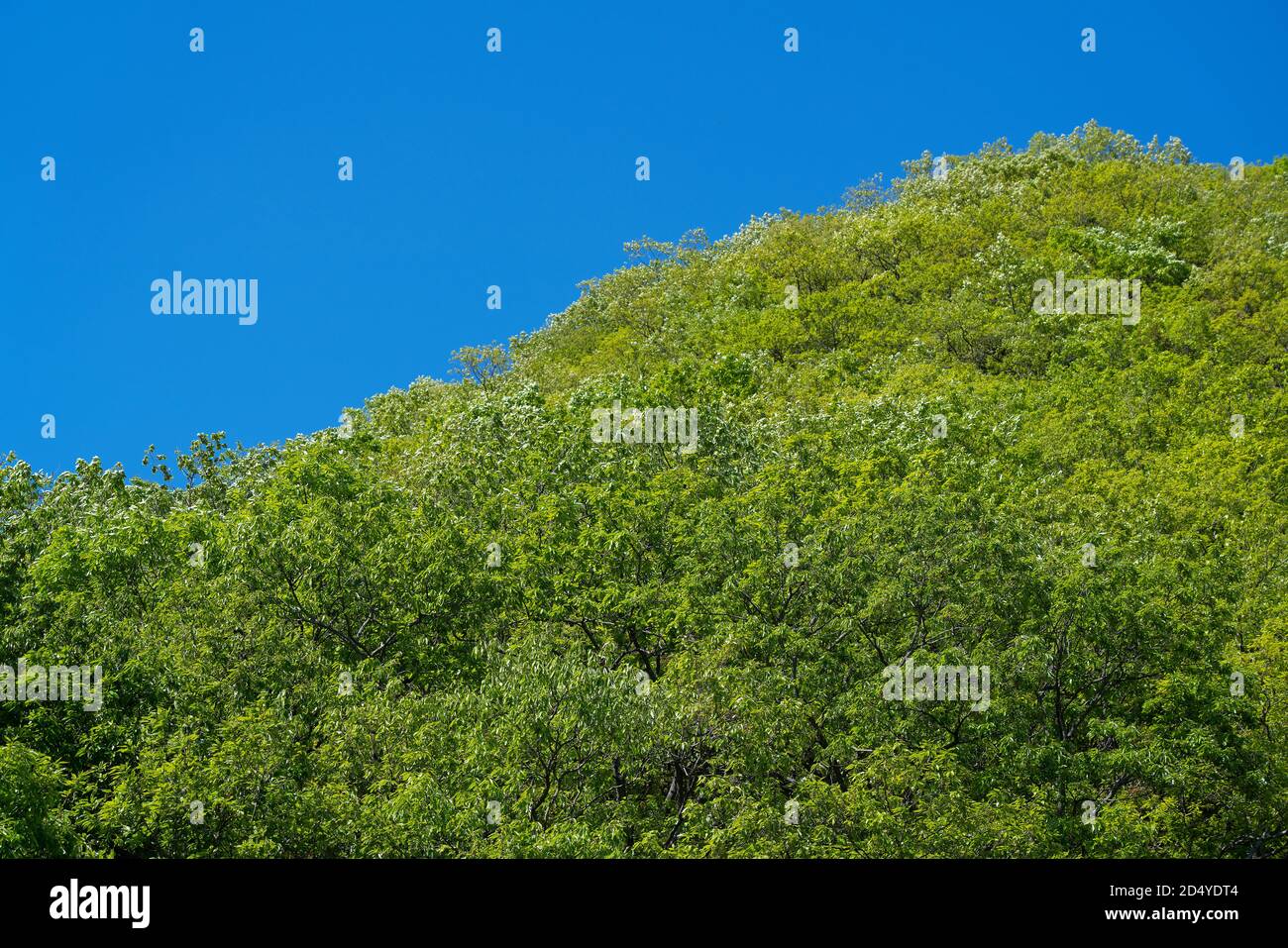 Blue screen shooting hi-res stock photography and images - Alamy