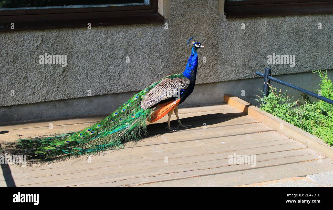 Korkeasaari hi-res stock photography and images - Alamy