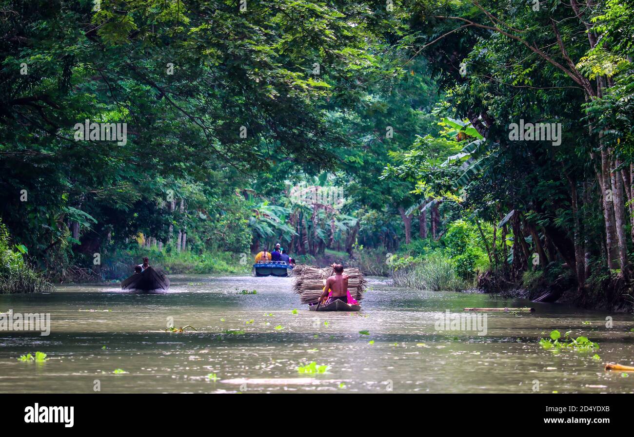 Pirojpur, Bangladesh : Atghar Kuriana Floating Guava Market Stock Photo ...