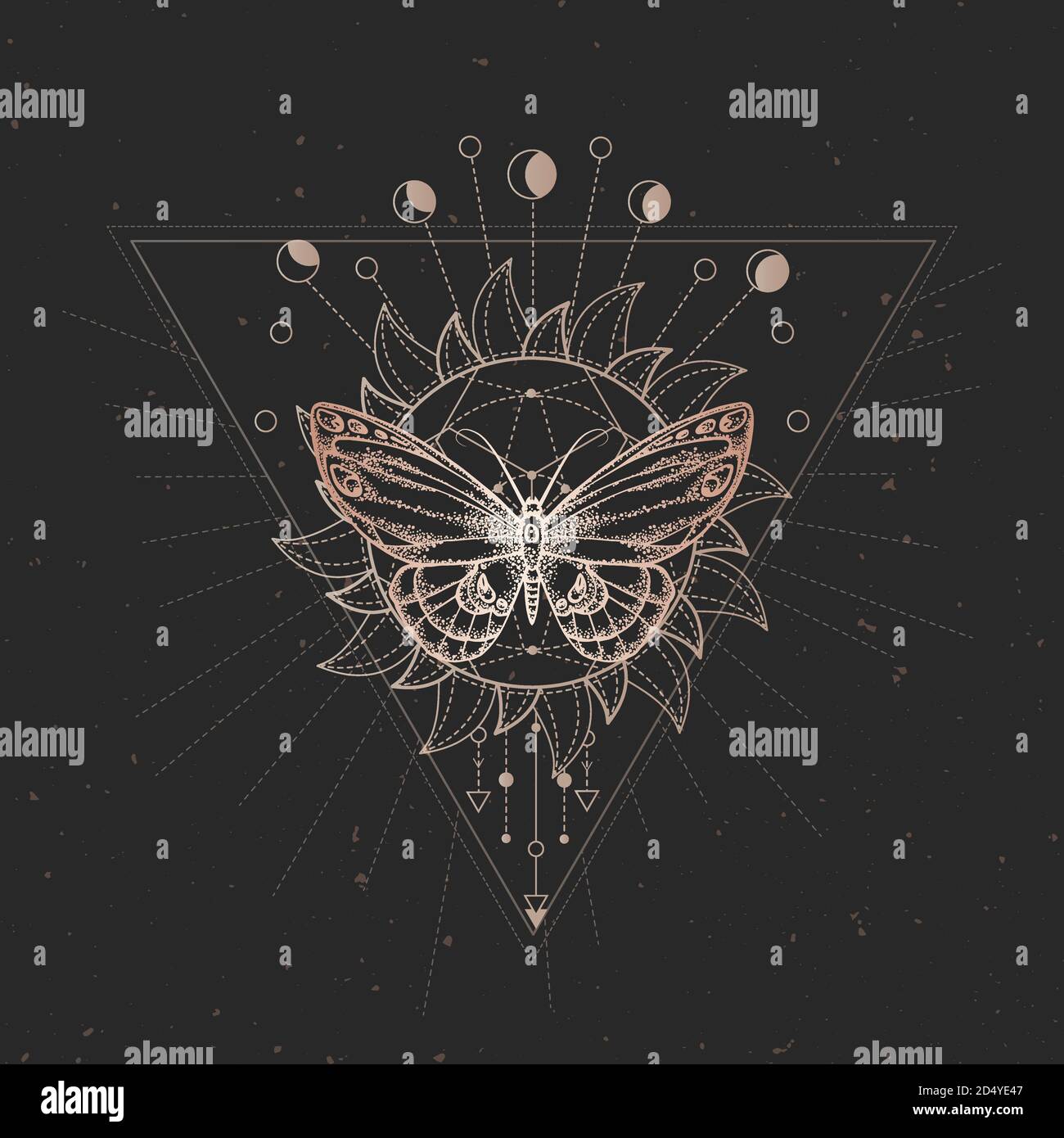 Gold triangle moth hi-res stock photography and images - Alamy