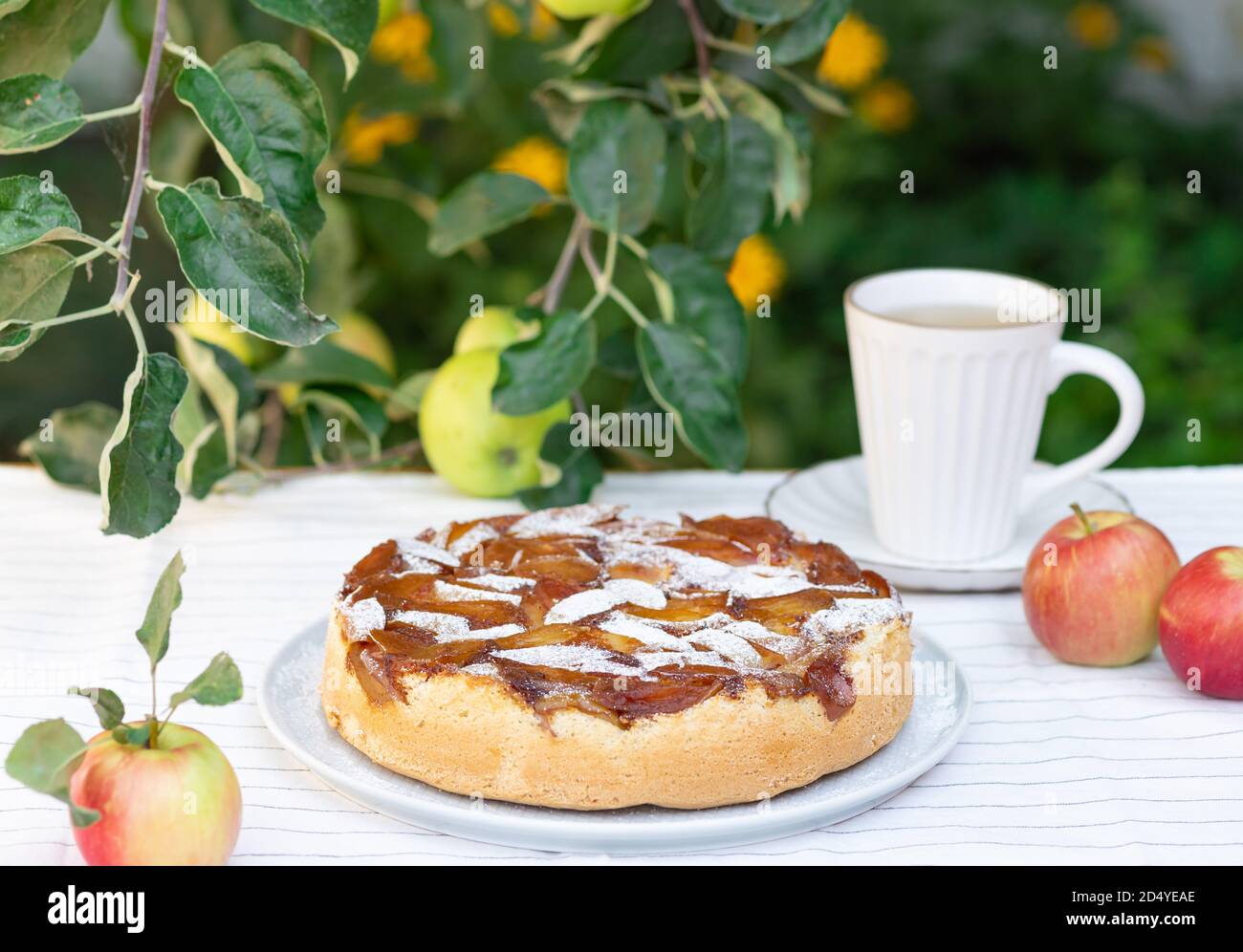 Apple fruit tree pie hi-res stock photography and images - Alamy