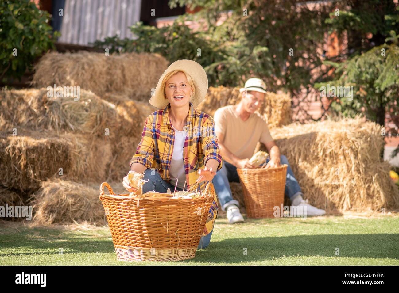 Female standing on knees near basket with cobs, male farmer shucking ...