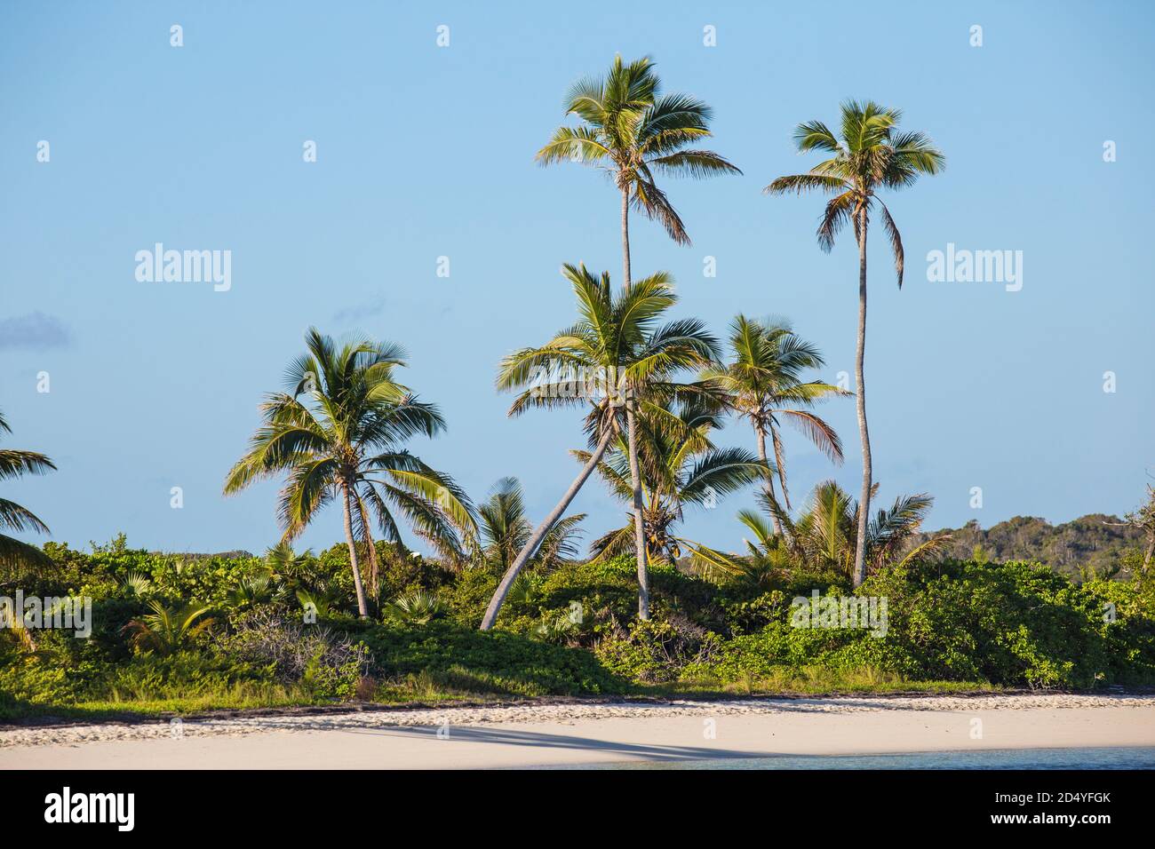 Bahamas, Abaco Islands, Elbow Cay, Tihiti beach Stock Photo - Alamy