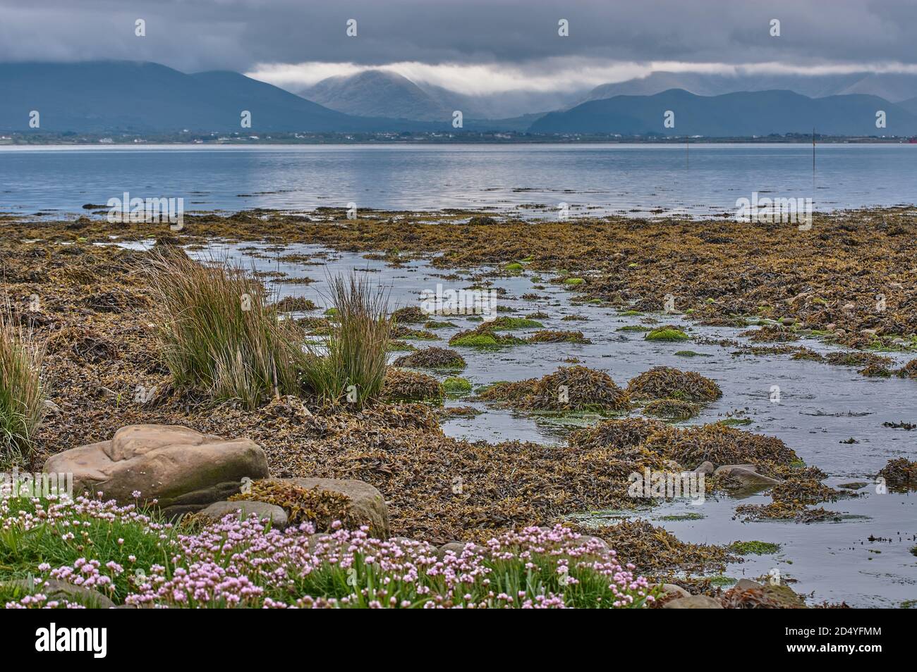 Beautiful panoramic landscape on Dingle Peninsula, Ireland. Panoramic ...