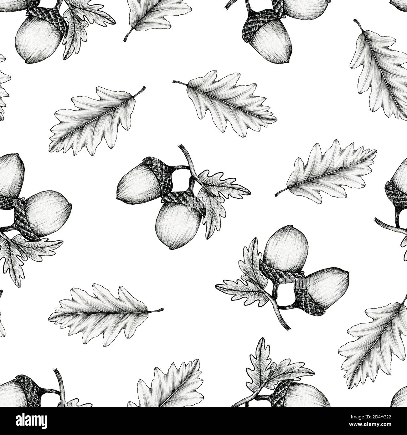 pattern with acorns and oak leaves, black and white acorns on branch ...