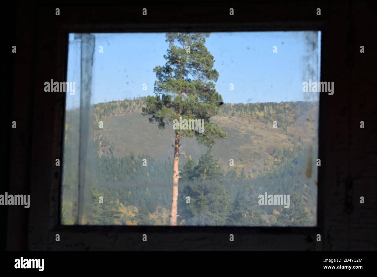 View of a Tree and a Hill from Attic Window Stock Photo - Alamy