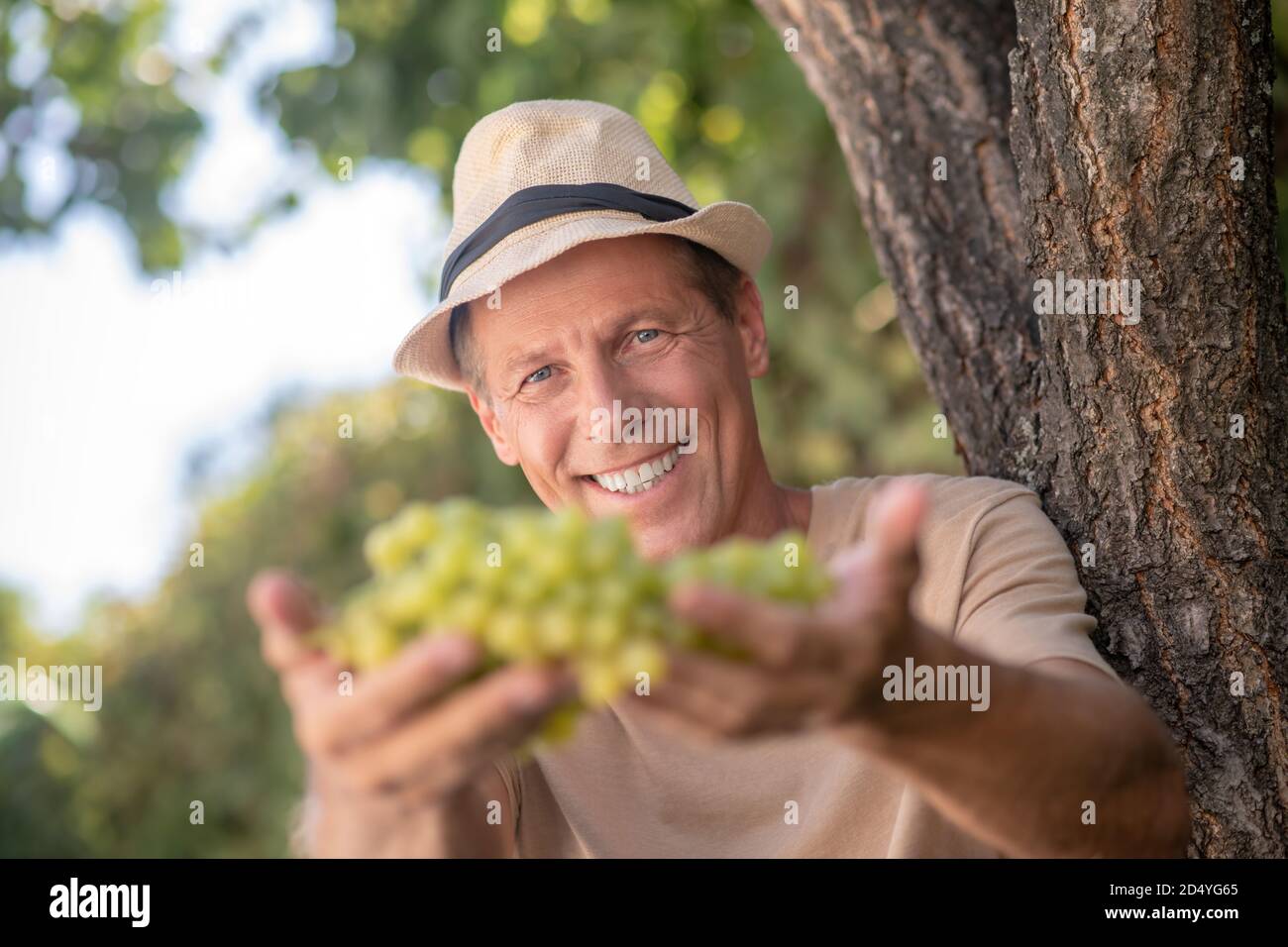 Happy male showing cluster of green ripe grapes into camera Stock Photo ...