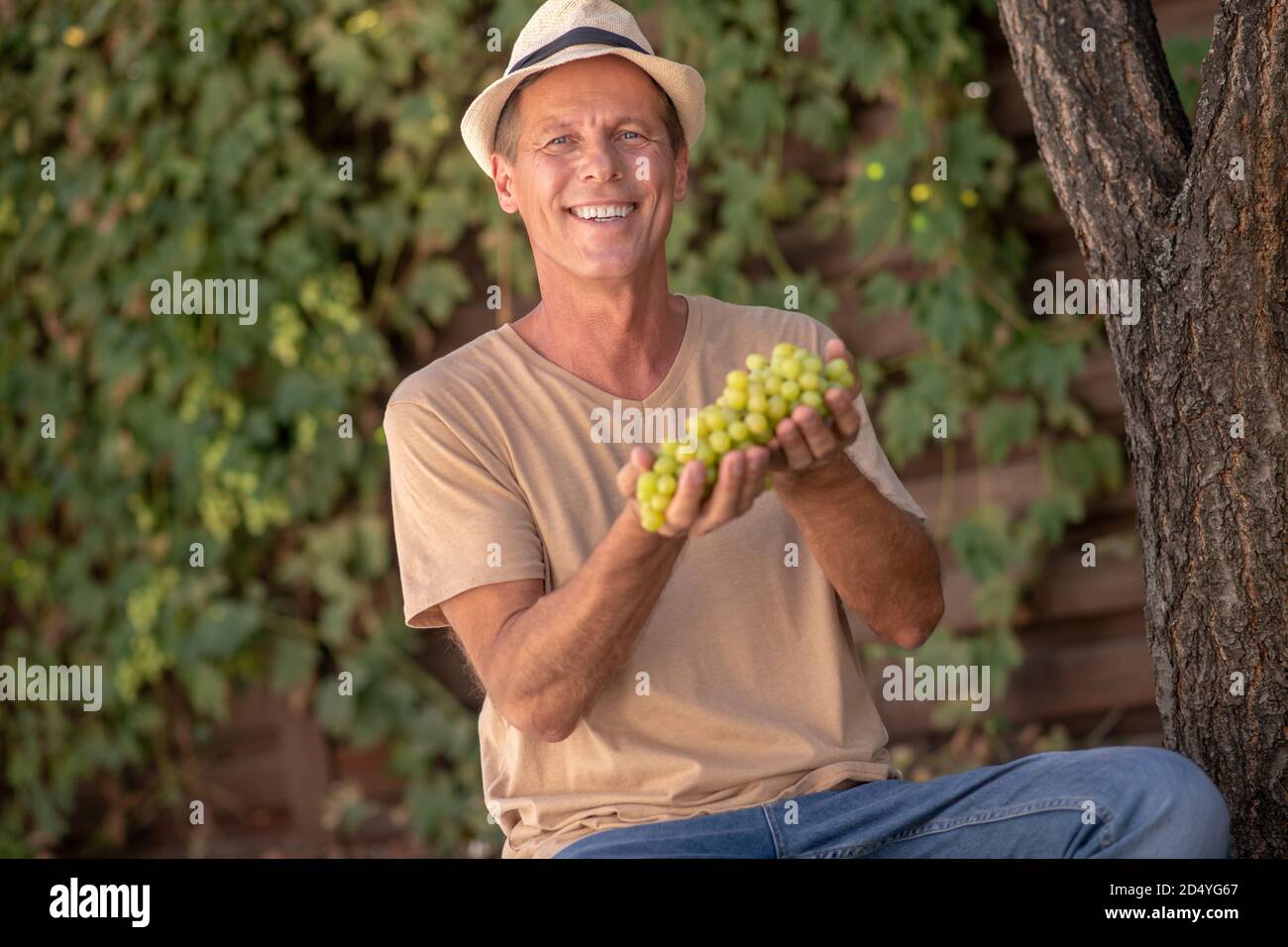 Smiling man harvesting grapes hi-res stock photography and images - Alamy