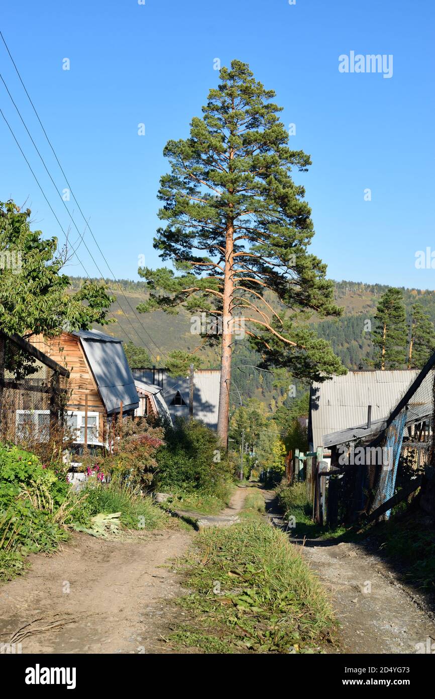 Street in a Dacha Village in Siberia, Russia Stock Photo - Alamy