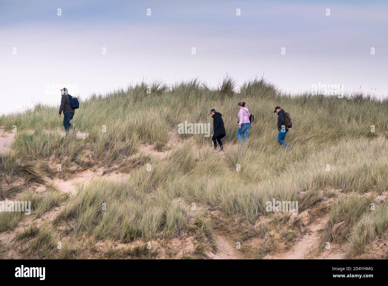 Delicate sand dune system hi-res stock photography and images - Alamy
