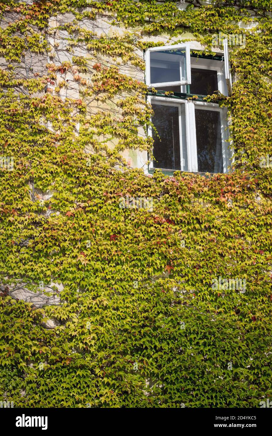 Exterior and fall foliage hi-res stock photography and images - Alamy