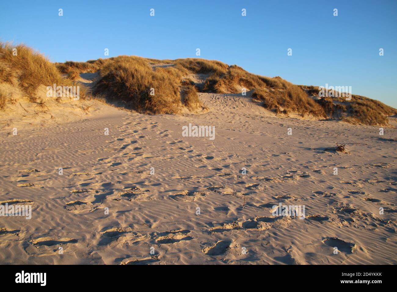 View of footprints on the sand Stock Photo - Alamy