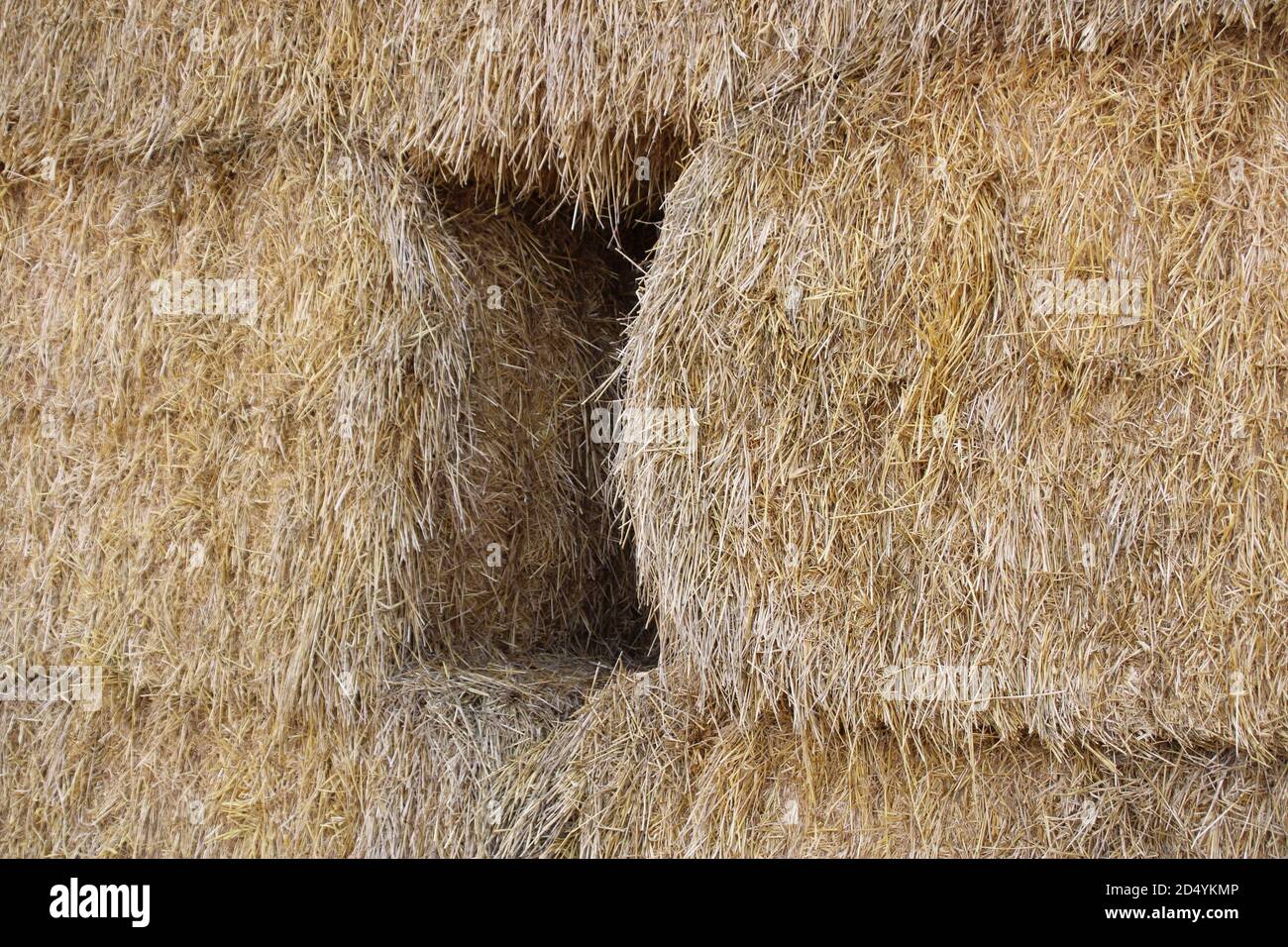 Closeup shot of hay bales on the ground Stock Photo - Alamy