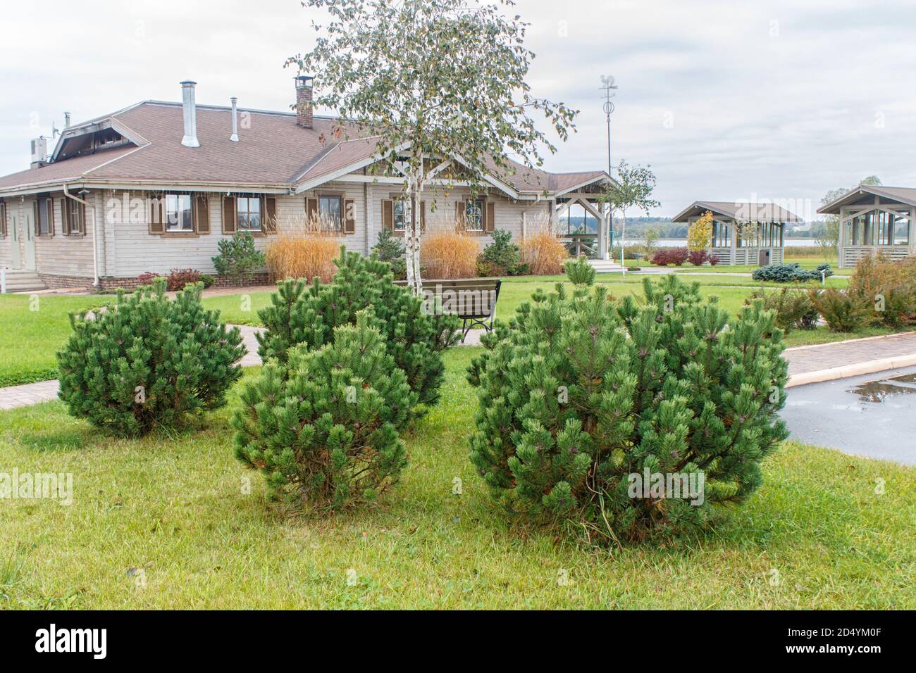 Modern wooden cottage with green lawn, birch tree and landscape design ...
