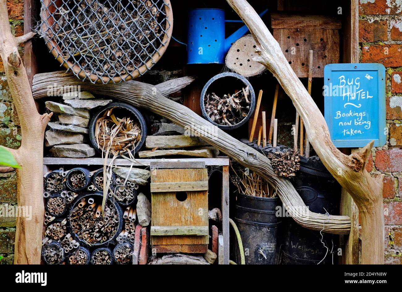 English garden insects hi-res stock photography and images - Alamy