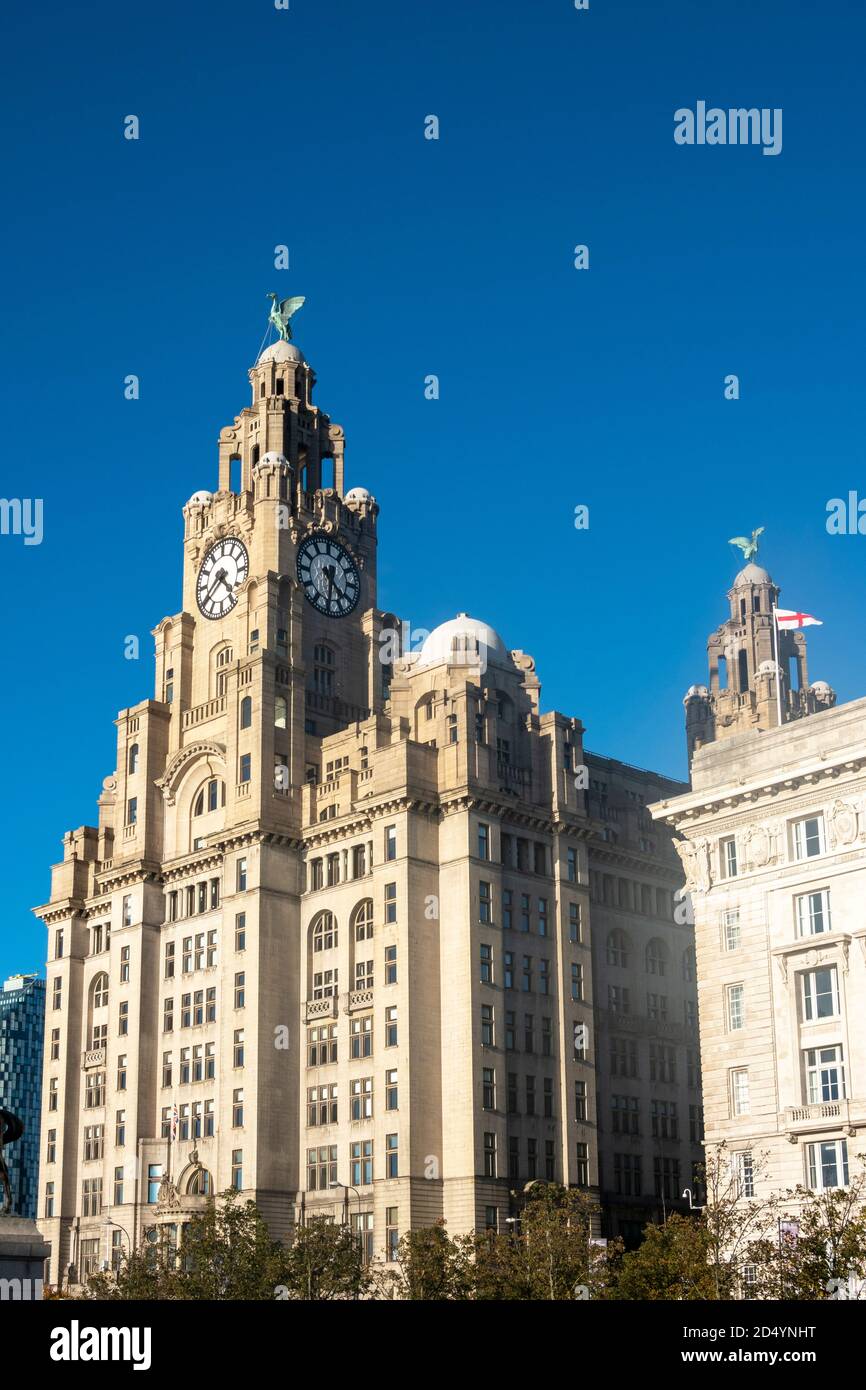 The Royal Liver Building in Liverpool Stock Photo - Alamy