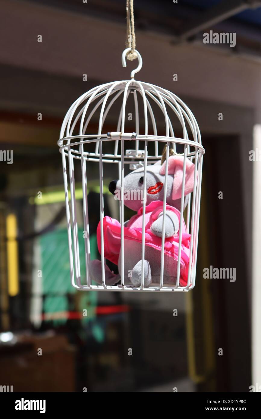 Small puppet mouse Stock Photo - Alamy