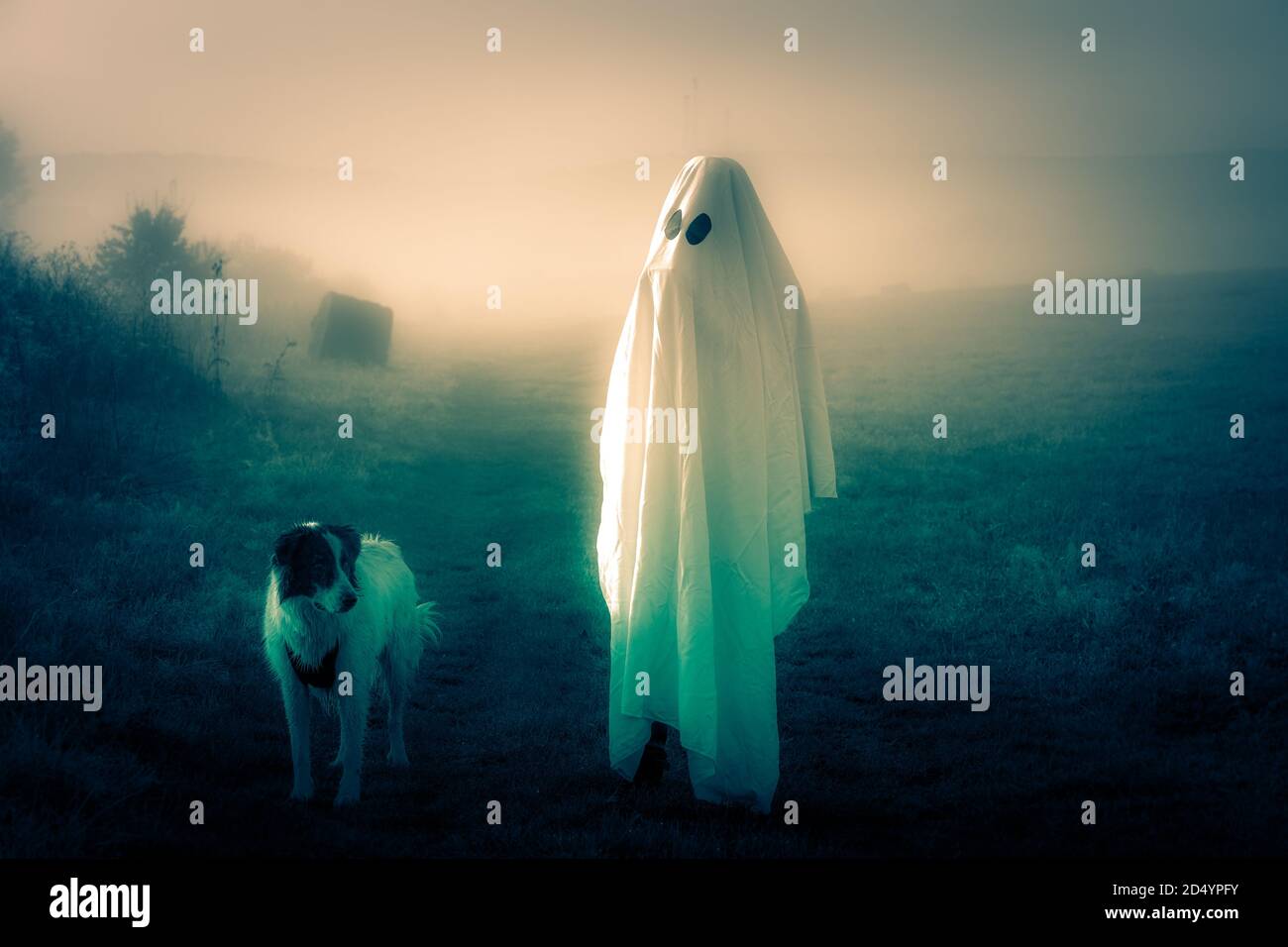 Dog with ghosts hi-res stock photography and images - Alamy
