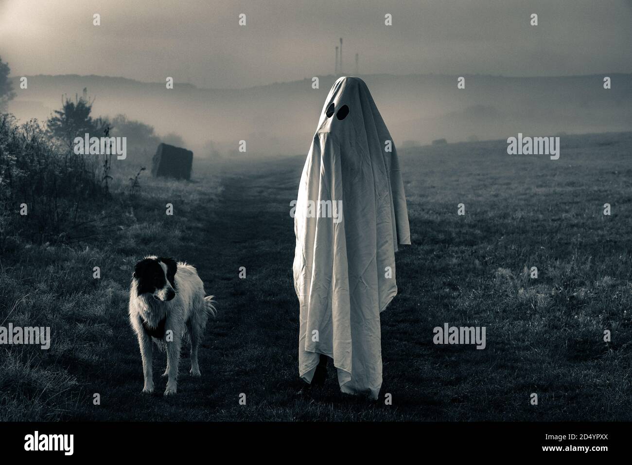 halloween ghost with dog in foggy landscape Stock Photo - Alamy