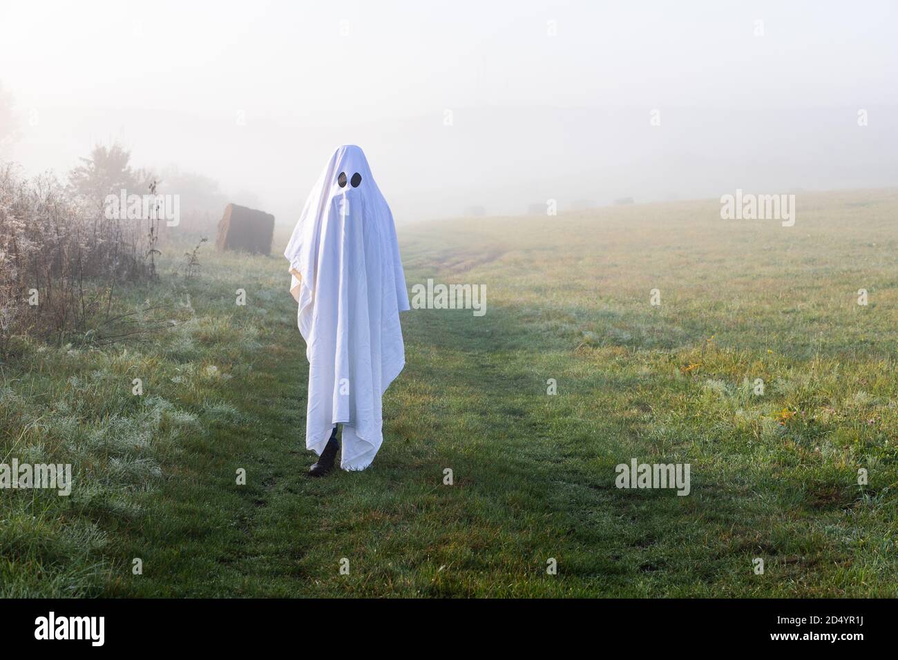 halloween ghost in foggy landscape Stock Photo - Alamy