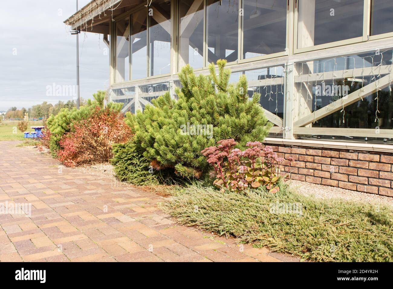 modern restaurant with green lawn, tile path and landscape design with ...