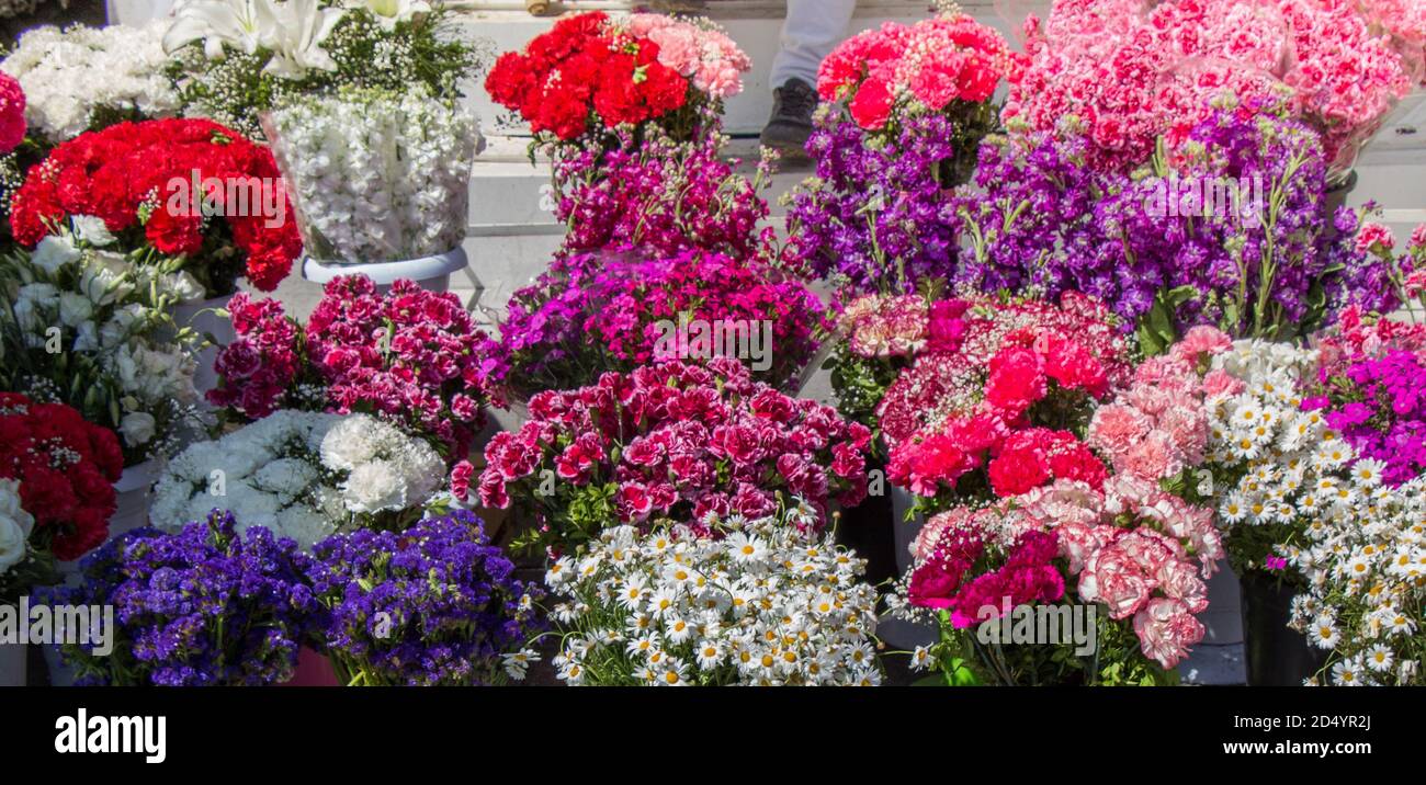 Blooming beautiful colorful fresh natural flowers in view Stock Photo ...