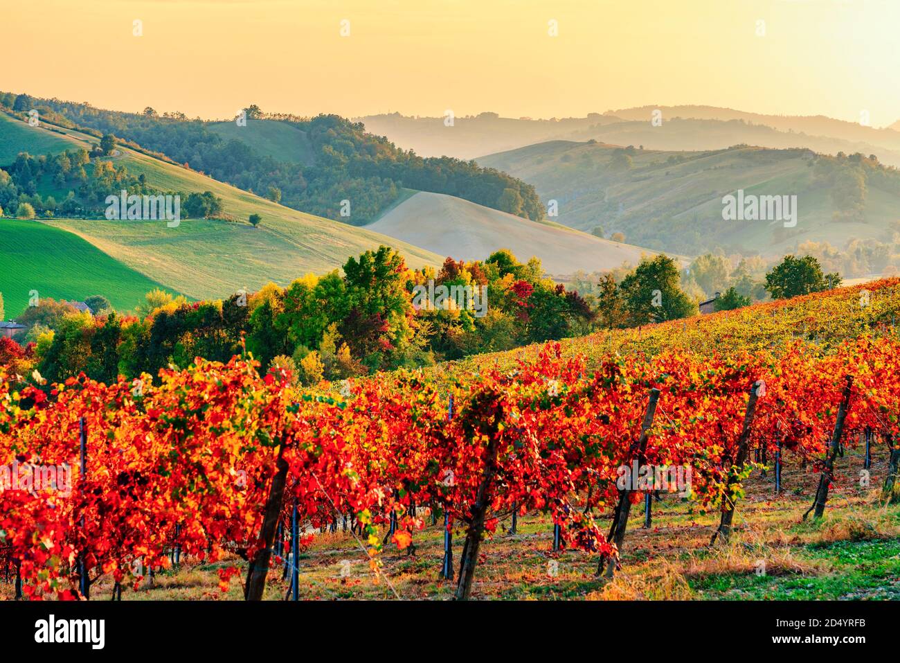 Modena hills hi-res stock photography and images - Alamy