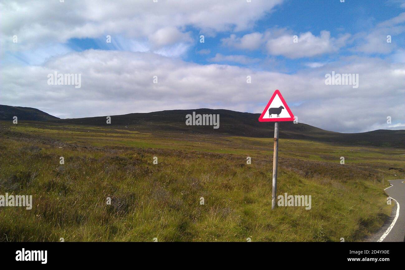 Sheep crossing sign hi-res stock photography and images - Alamy