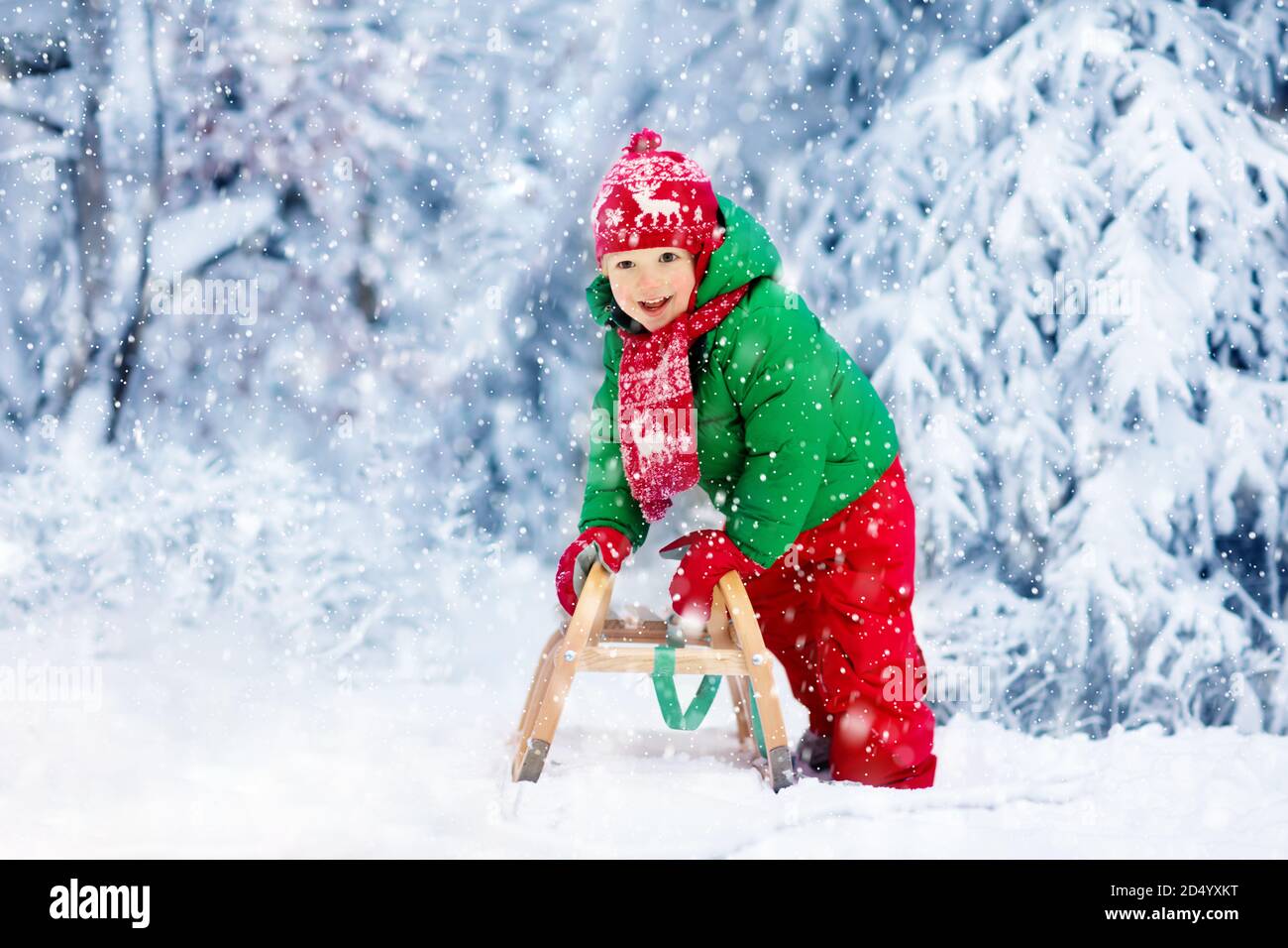 Little boy enjoying a sleigh ride. Child sledding. Toddler kid riding a ...