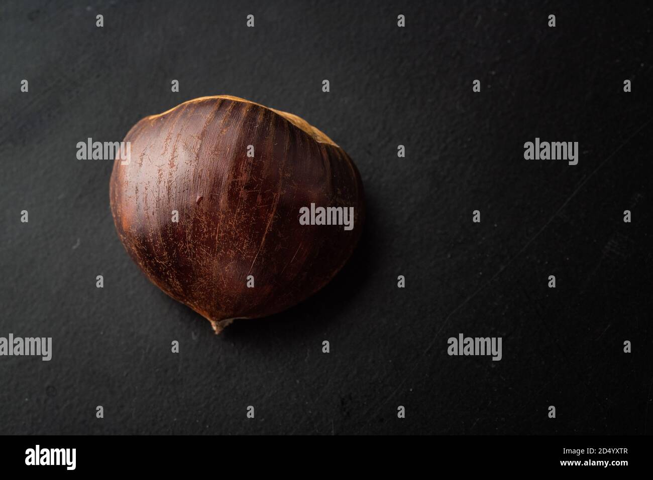 Fresh one chestnut isolated on black background Stock Photo - Alamy