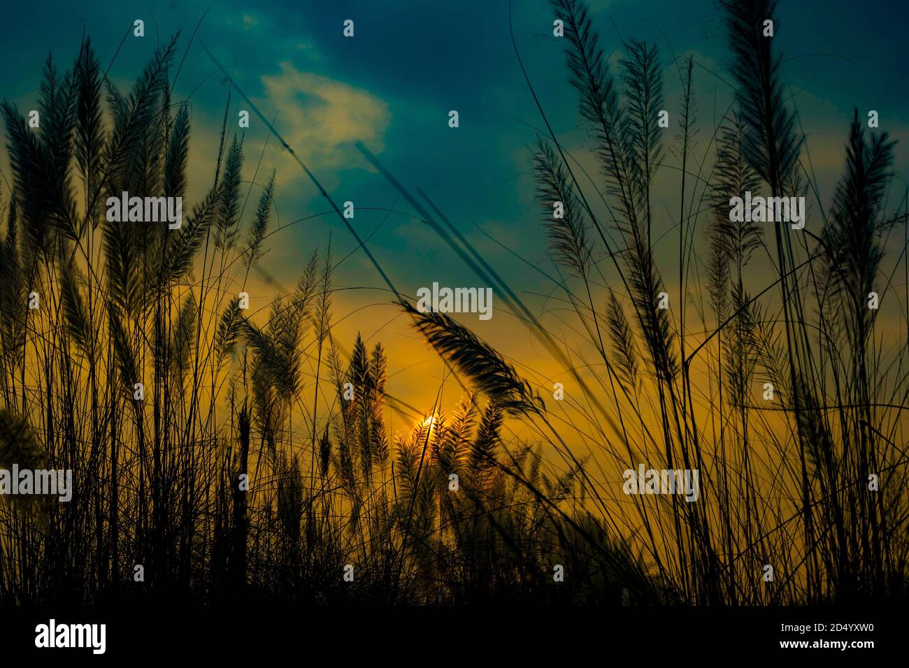 Kashbon hi-res stock photography and images - Alamy