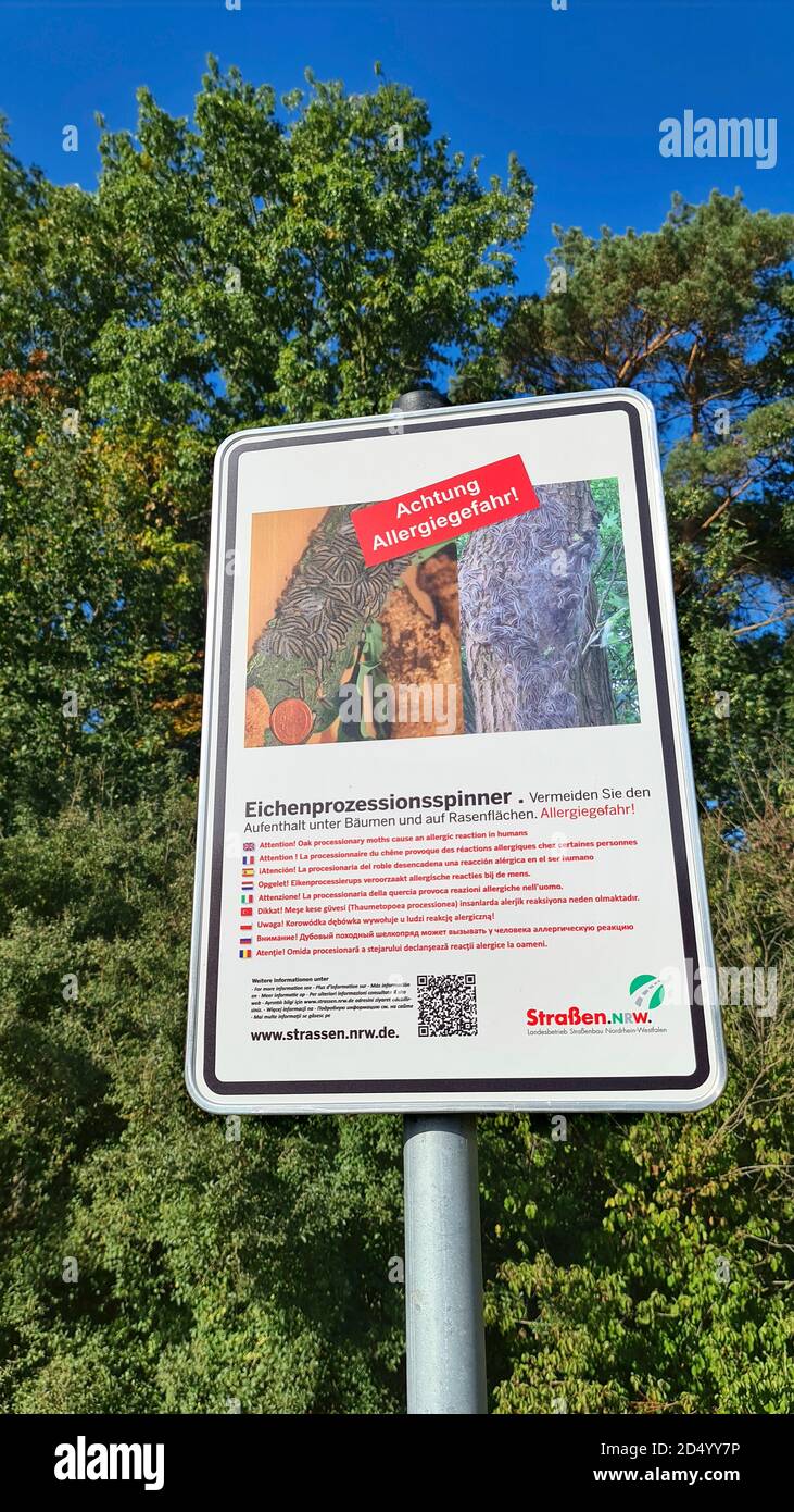 oak processionary moth (Thaumetopoea processionea), warning sign ...