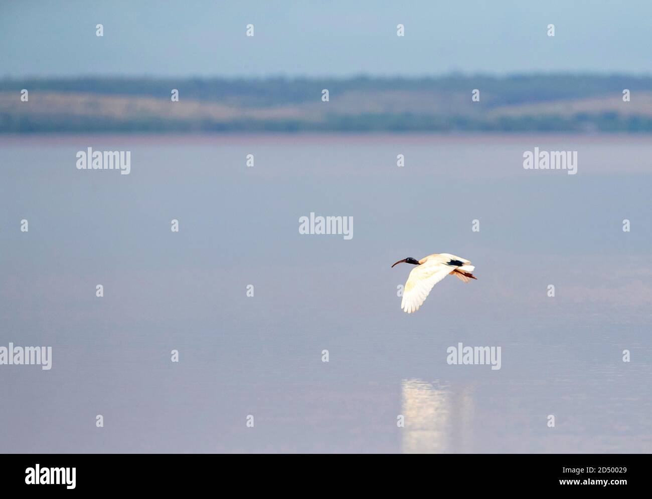 Betsiboka delta hi-res stock photography and images - Alamy