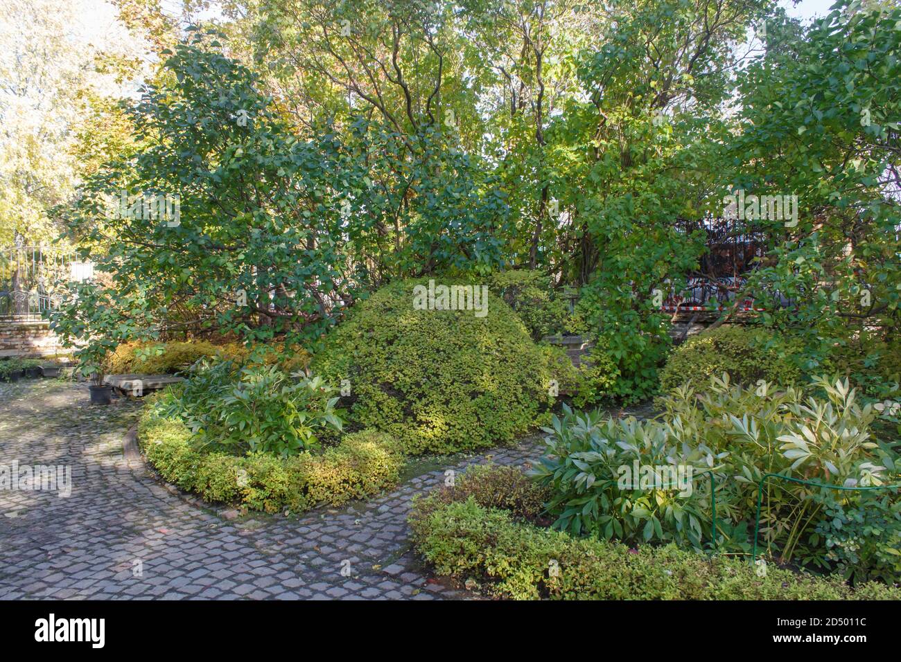 old cottage garden with vines, trees and pergola. Landscape design with ...