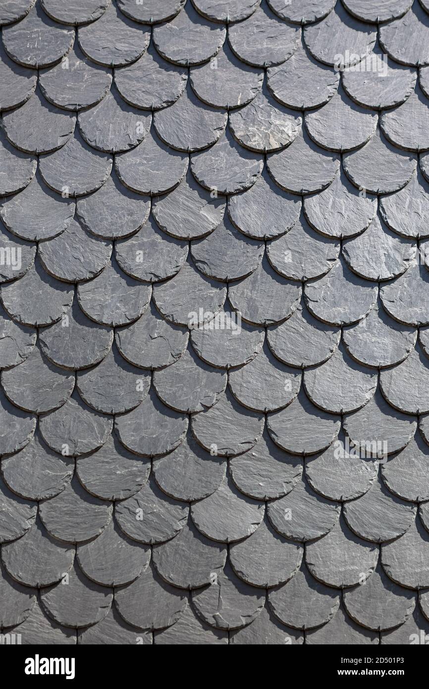 Fish scales building hi-res stock photography and images - Alamy