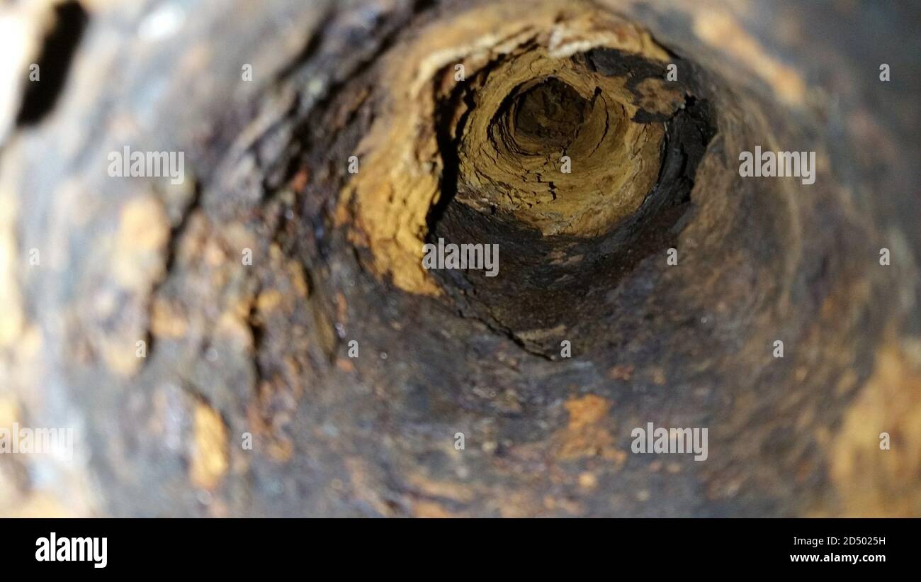 Nest sewer hi-res stock photography and images - Alamy