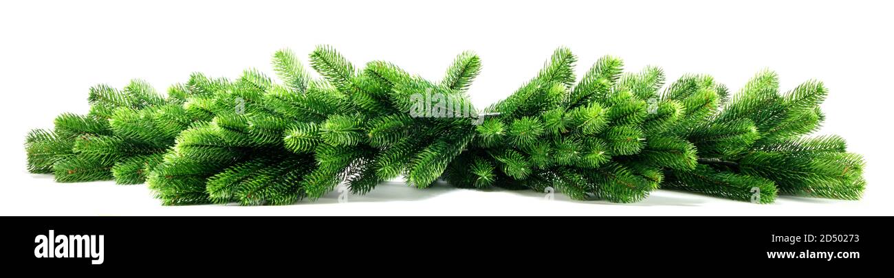 Natural fir Christmas tree branches isolated on white background ...