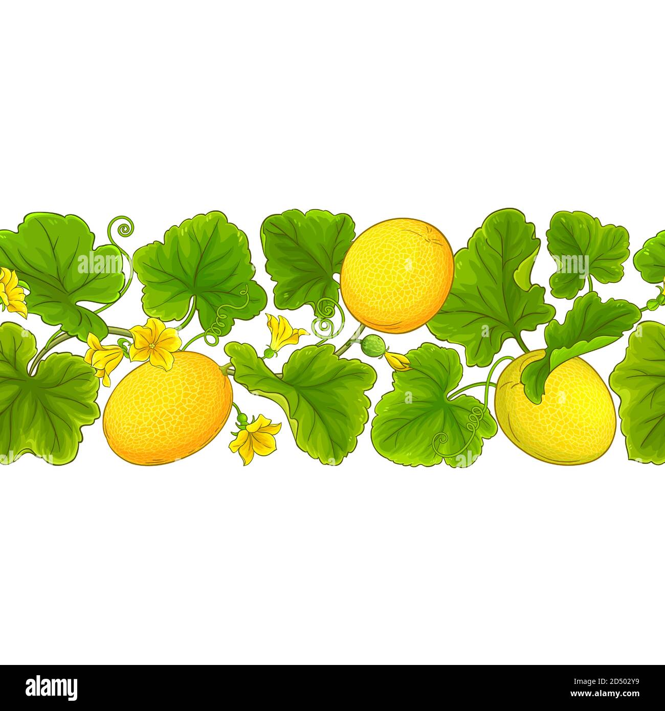 melon vector pattern Stock Vector Image & Art - Alamy
