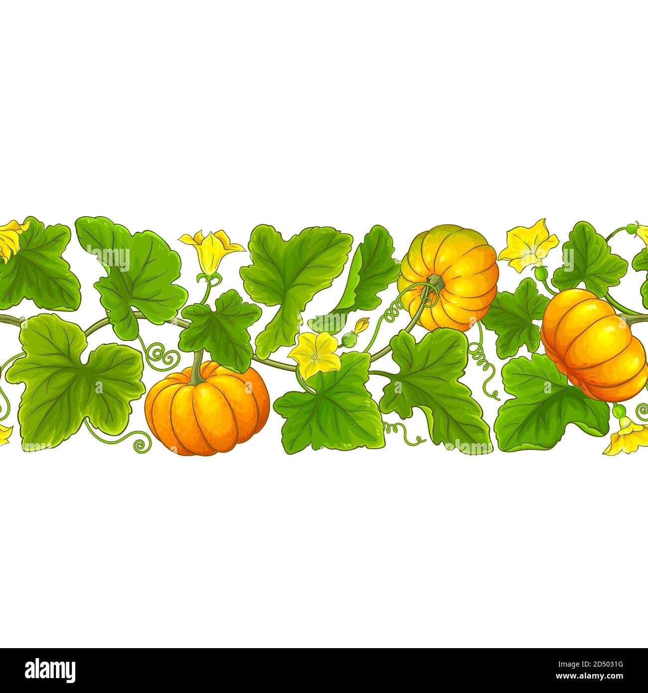 Autumn pumpkin illustration vector Stock Vector Images - Alamy