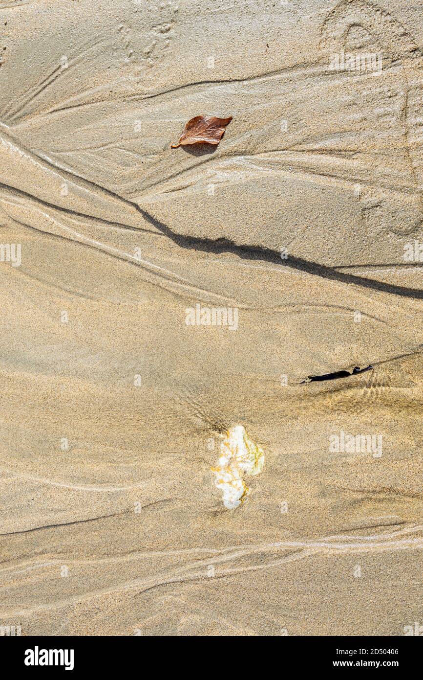 Beach sand stone detail hi-res stock photography and images - Alamy